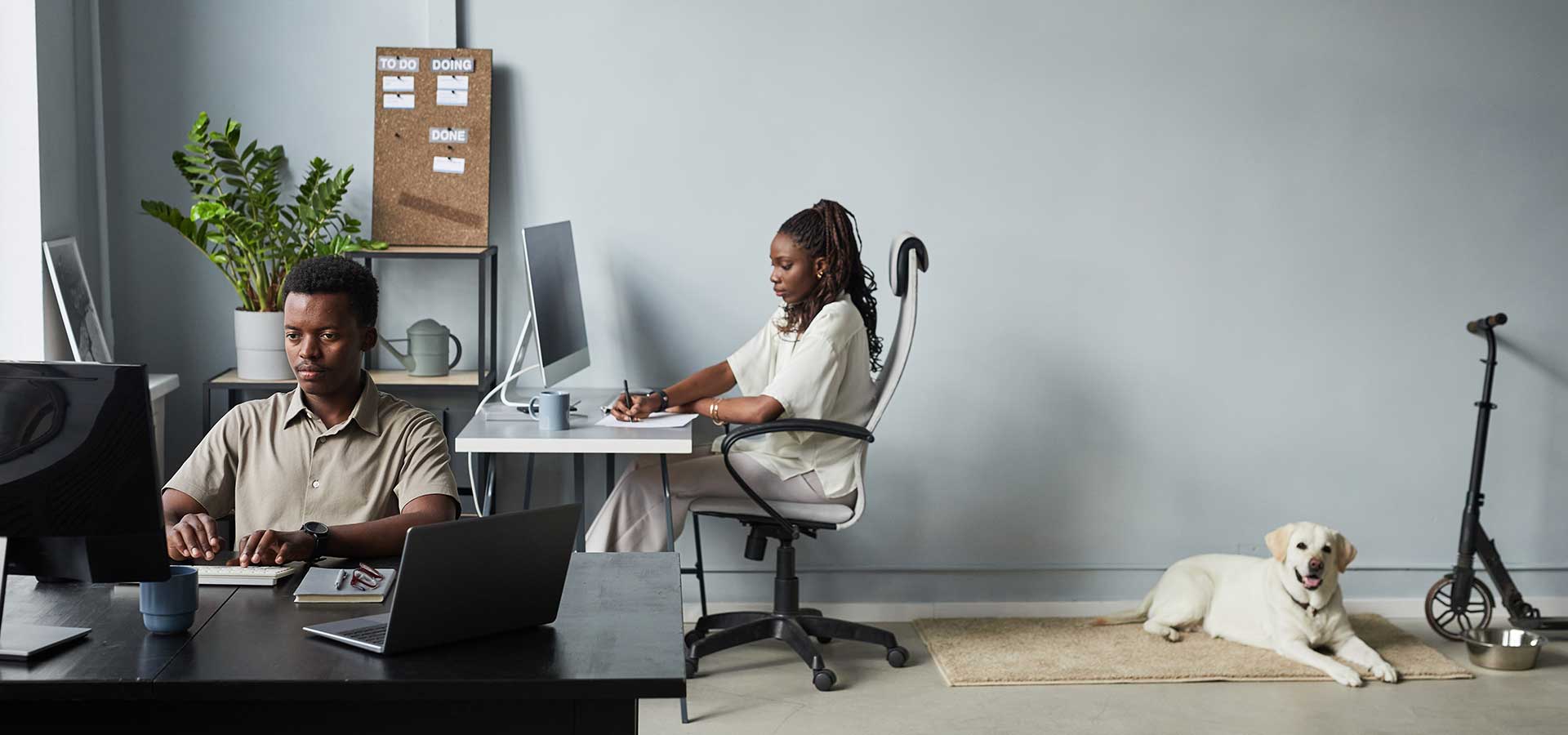 Why Flexible Workspaces Are the Future of Business – Brisk